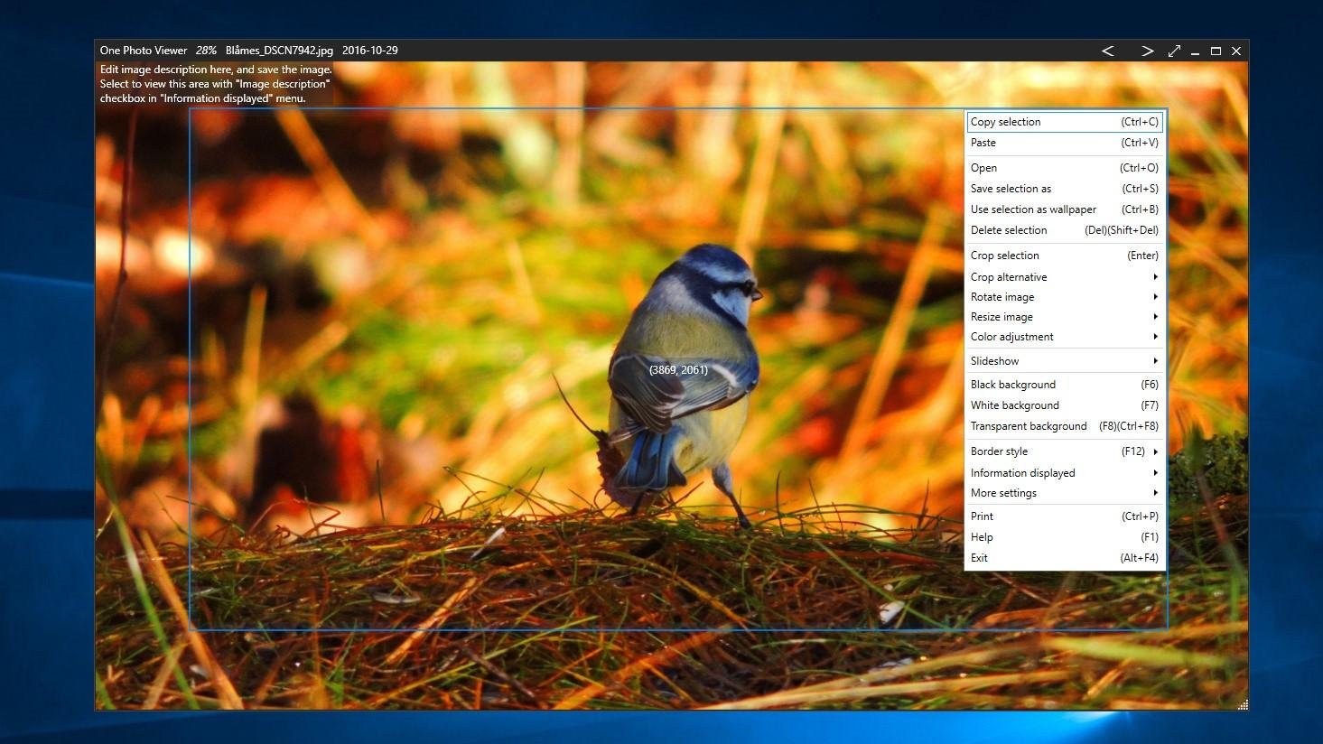 One Photo Viewer Free Download