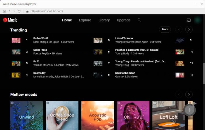 TunePat YouTube Music Converter Download