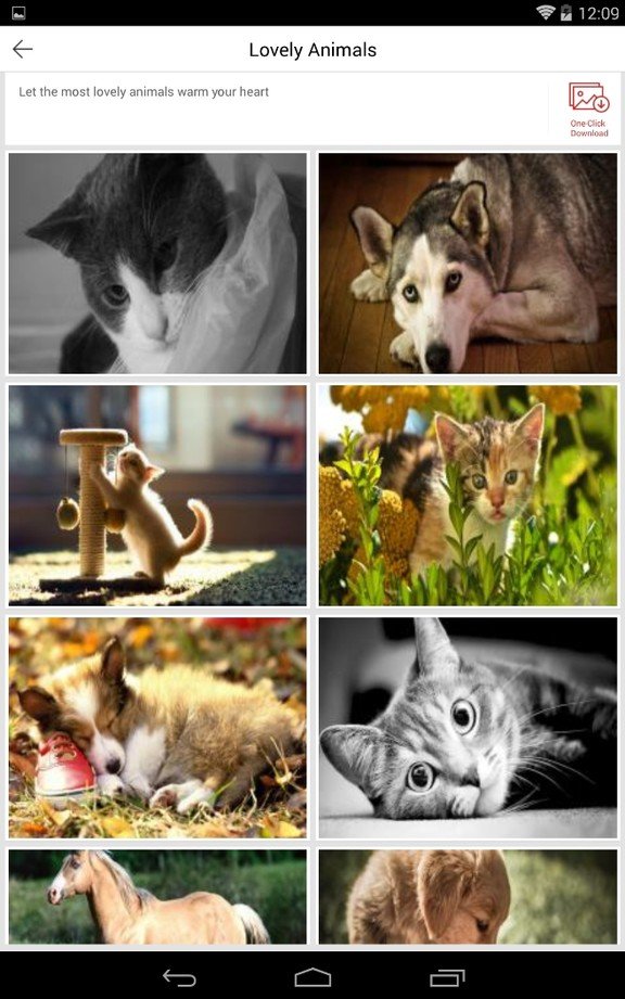 9Apps for Android Free Download